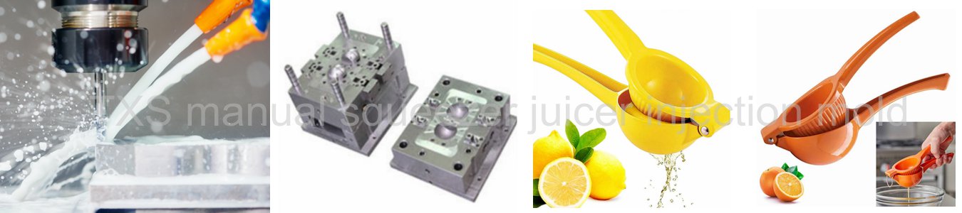 home appliance precision plastic manual squeezer juicer injection mold